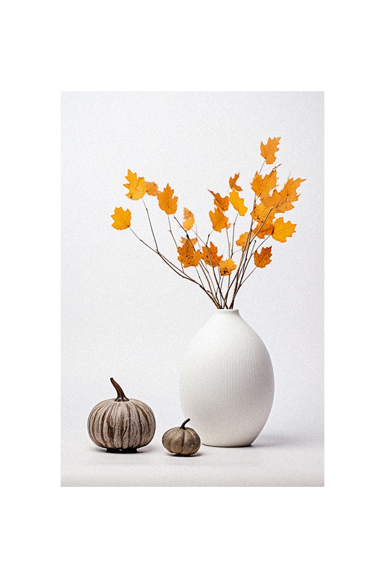 Unleash Autumn Magic: Decorating Ideas Await! - Quiet Minimal