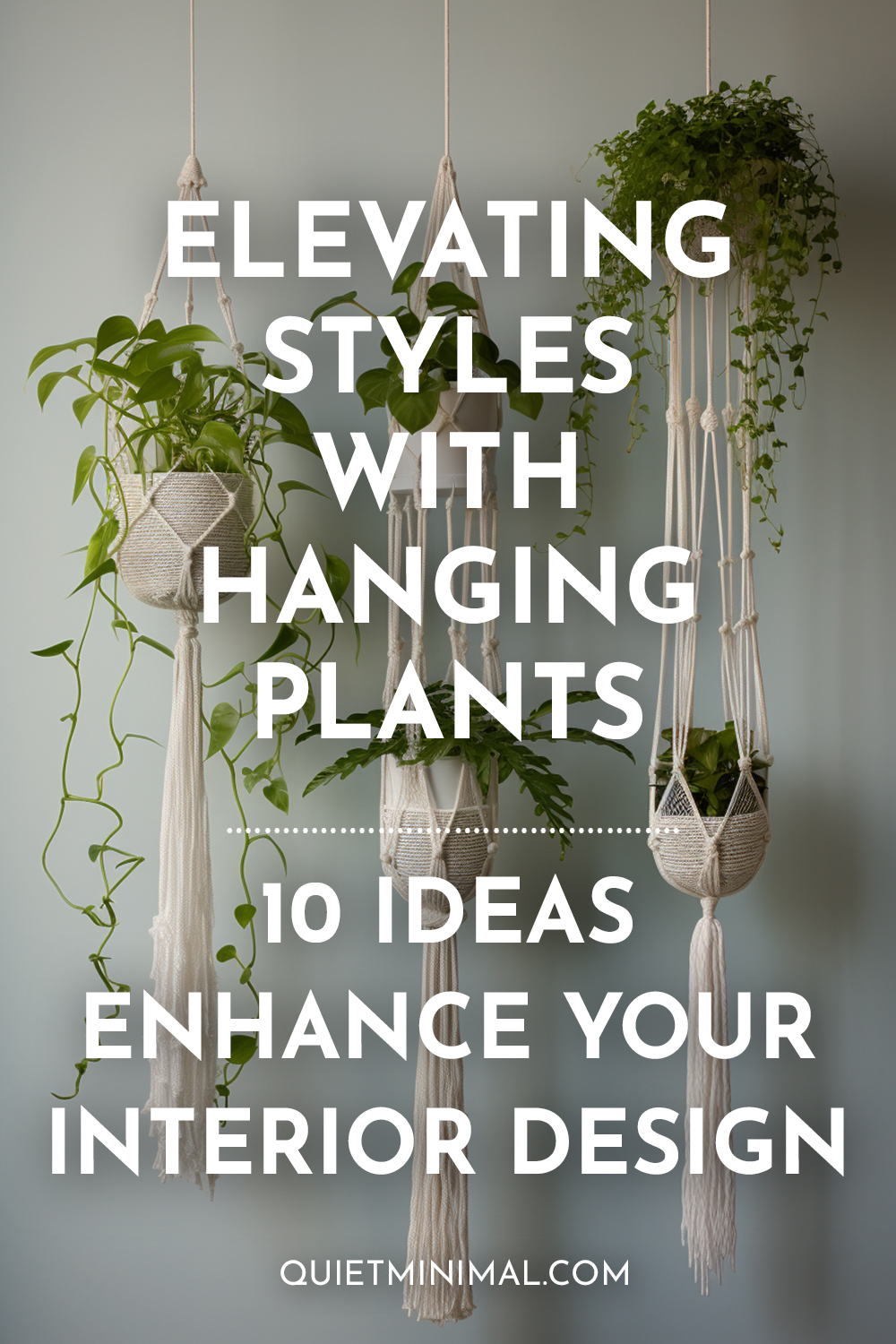 Hanging Plant Ideas to Enhance Your Interior Design - Quiet Minimal