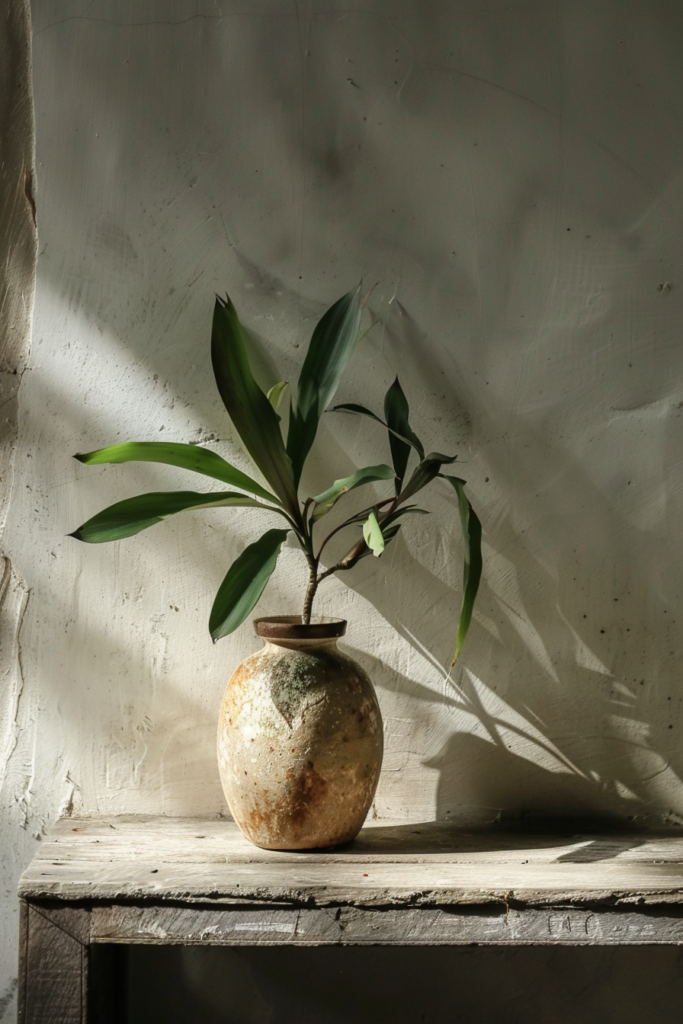 Wabi Sabi Plants: Green Serenity - Quiet Minimal